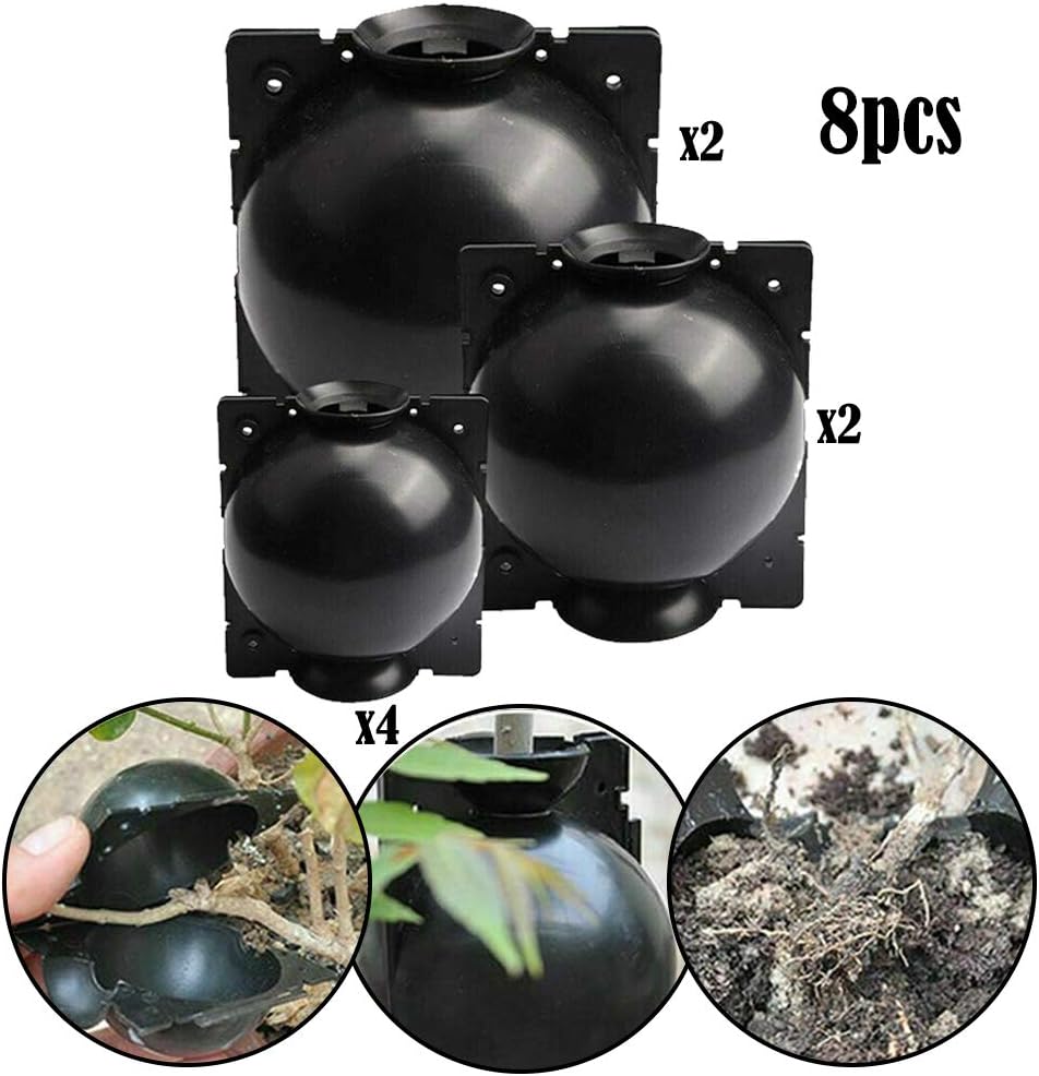 Plant Rooting Ball Assisted Plant Rooting Ball Botany Root Controller ...