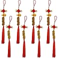 Amazon.com: 8 Strings Chinese New Year Lucky Coins Charms Chinese Feng ...