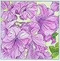Amazon.com: Enchanted Garden: Enchanted Garden: Coloring Book ...