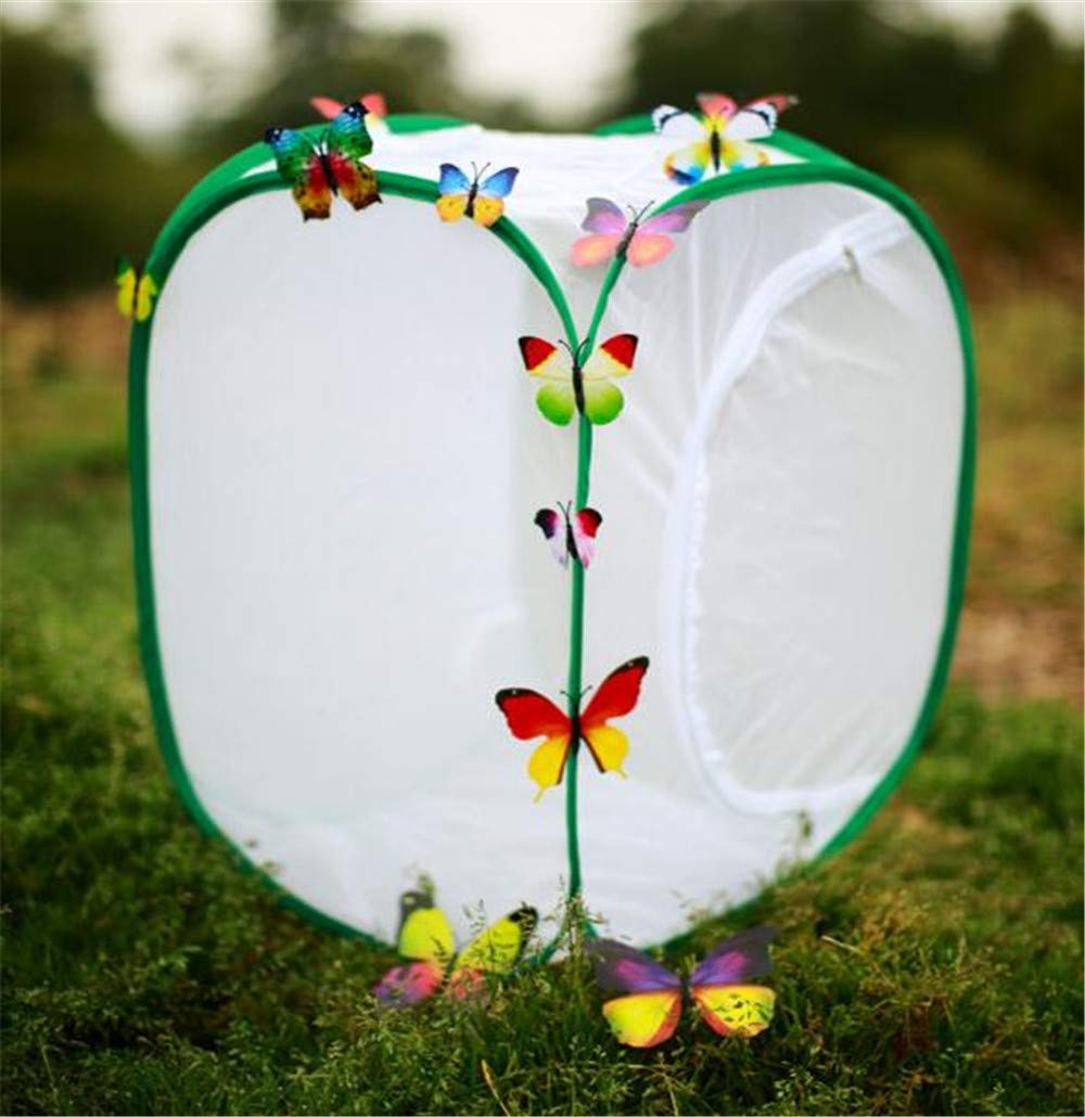 Buy BCLGCF Collapsible Insect And Butterfly Habitat Net, Tall Monarch ...