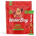 Amazon.com: Waterboy Daily Hydration | 1,570mg Electrolyte Powder ...