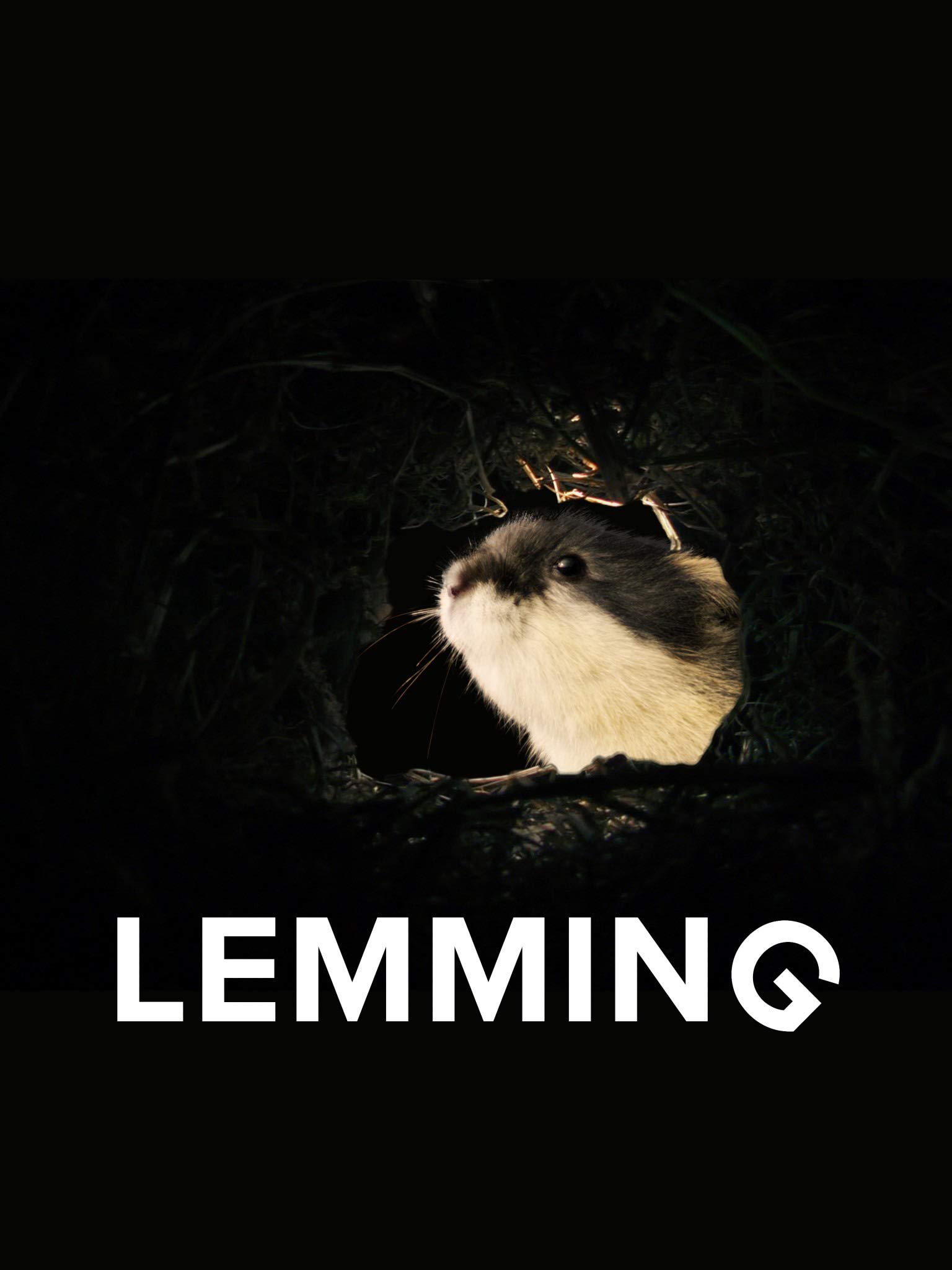 Watch Lemming | Prime Video