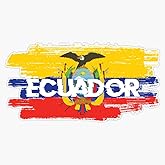 Amazon.com - Ecuador Flag Grunge Brush Style Ecuadorian Pride Sticker ...