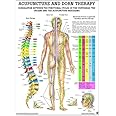 Amazon.com: Meridian & Dorn Therapy Laminated Poster : Industrial ...