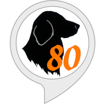 Amazon.com: Yes Sire: Alexa Skills