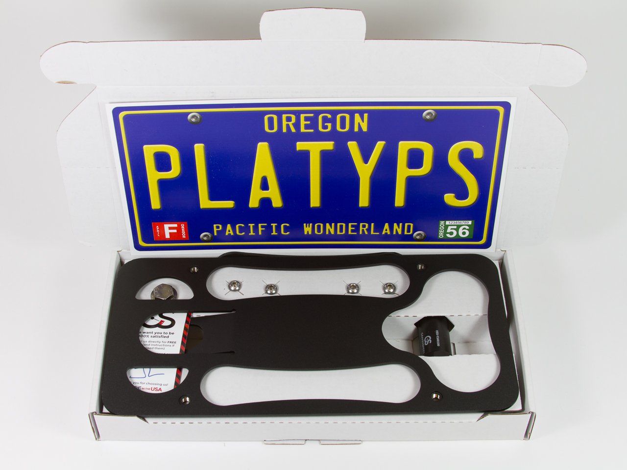 CravenSpeed The Platypus License Plate Mount for BMW 3 Series GT F34 No ...