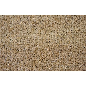 Amazon.com : Indoor/Outdoor Brown/Tan Artificial Grass Turf Area Rug 6 ...