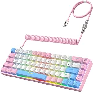 Amazon.com: ZIYOU LANG RK-T8 Wired 65% Mechanical Gaming Keyboard with ...