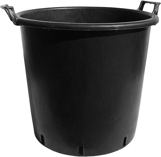 Elixir Gardens large plant, tree, shrub, pots with handles 30,50,60,70 ...