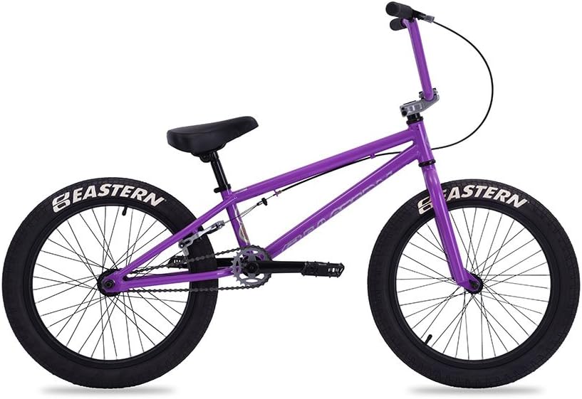 Amazon.com : Eastern Bikes BMX Bike - Cobra Purple, 20" : Sports & Outdoors
