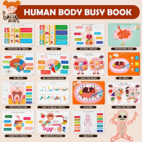 Freebear Montessori Busy Book for Kids, Human Body Anatomy Book for ...