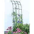 Amazon.com : Gardener's Supply Company | Titan Half Arch | Decorative ...