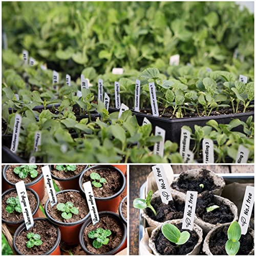 Plant Labels 300Pcs 4 Inch Plastic Plant Name Tags for Seedlings Garden ...