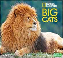2014 National Geographic Big Cats Deluxe Wall: Zebra Publishing Corp ...