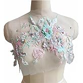 Amazon.com: Colorful 3D Flower Embroidery Patches Bridal Lace Sewing ...