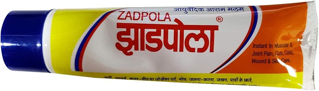 Amazon.com: TUZECH 31 in 1 Ayurvedic Herbal Organic Zadpola for All ...