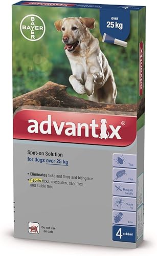 How To Treat A Dog For Sand Flies