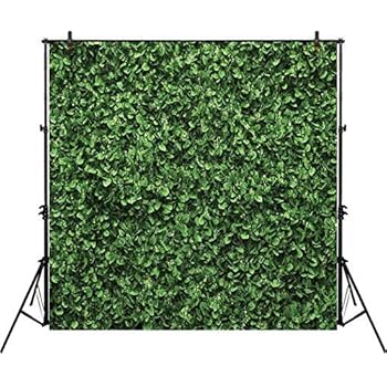 Amazon.com : Green Grass Wall Love Photography Backdrops Photo Props ...