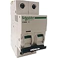 Schneider A9F74206 Miniature Circuit Breaker - iC60N - 2 Poles - 6 A - C Curve: Amazon.com ...
