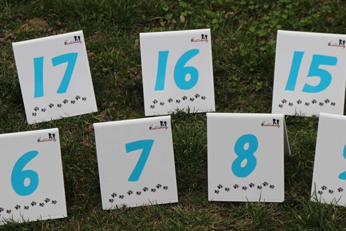 Callieway® Agility Course Numbers/Rally Obedience Numbers Set/Number ...