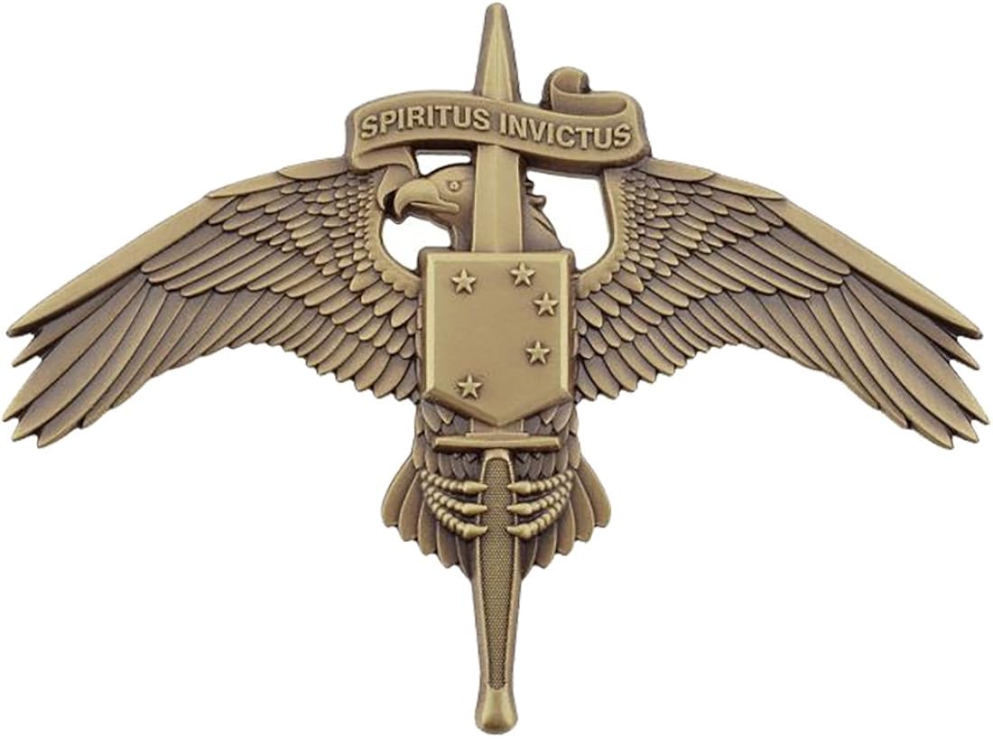 Amazon.com: MARSOC Marine Corps Badge Large (ANTIQUE): Clothing