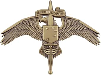 Amazon.com: MARSOC Marine Corps Badge Large (ANTIQUE): Clothing, Shoes ...
