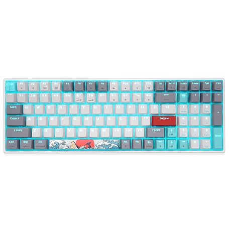 Mua SKYLOONG SK96 Full Size Gaming Keyboard, Hot Swappable USB-C Wired ...