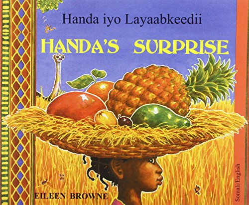 Handa's Surprise (English and Somali Edition): 9781852694760: Amazon ...