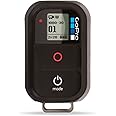 GoPro Wi-Fi Remote : Amazon.ca: Electronics