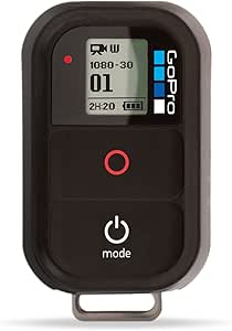 Amazon.com: GoPro Wi-Fi Remote (GoPro Official Accessory) : GoPro ...