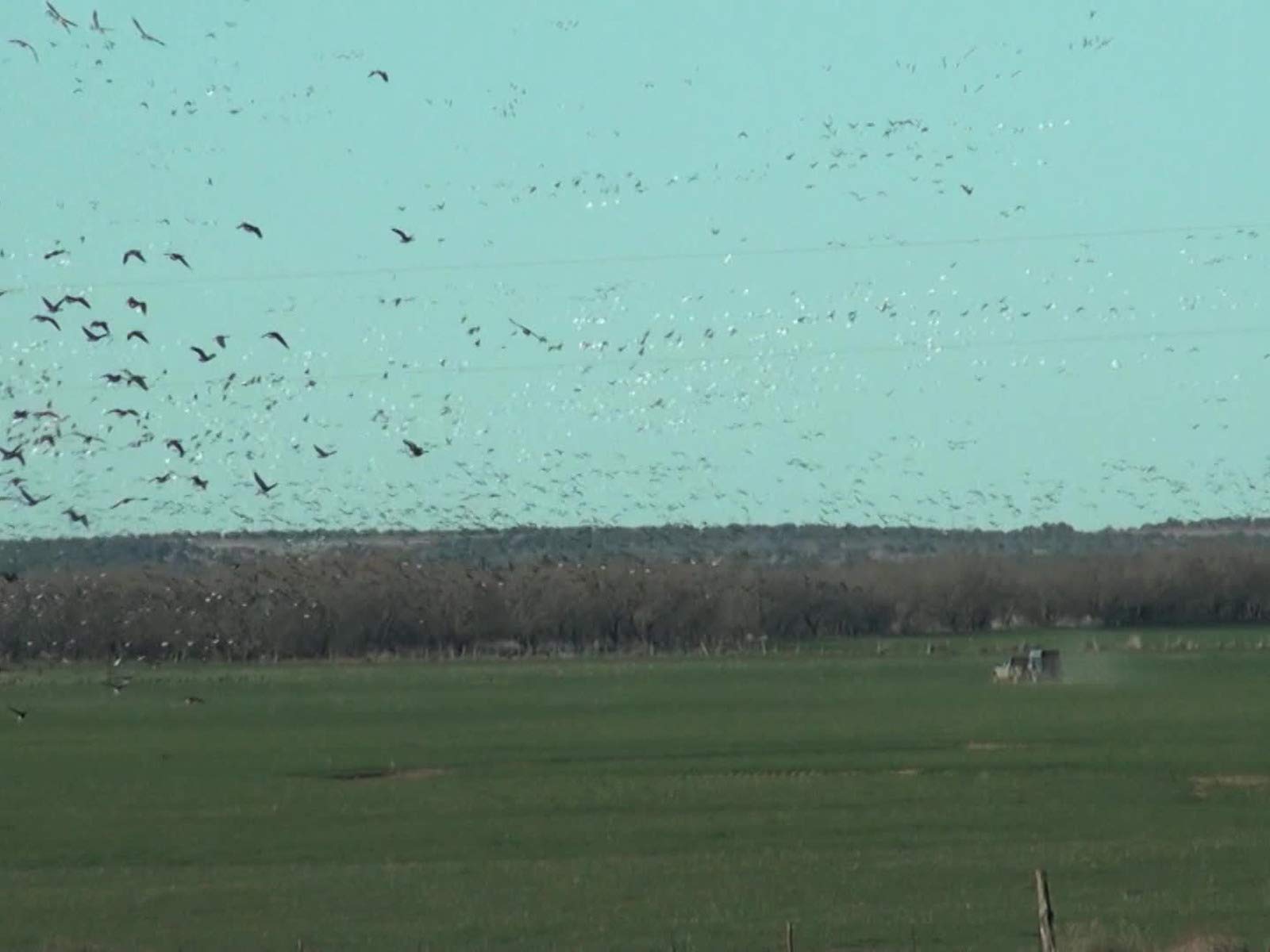 Watch RNT-V - Season 8 | Prime Video