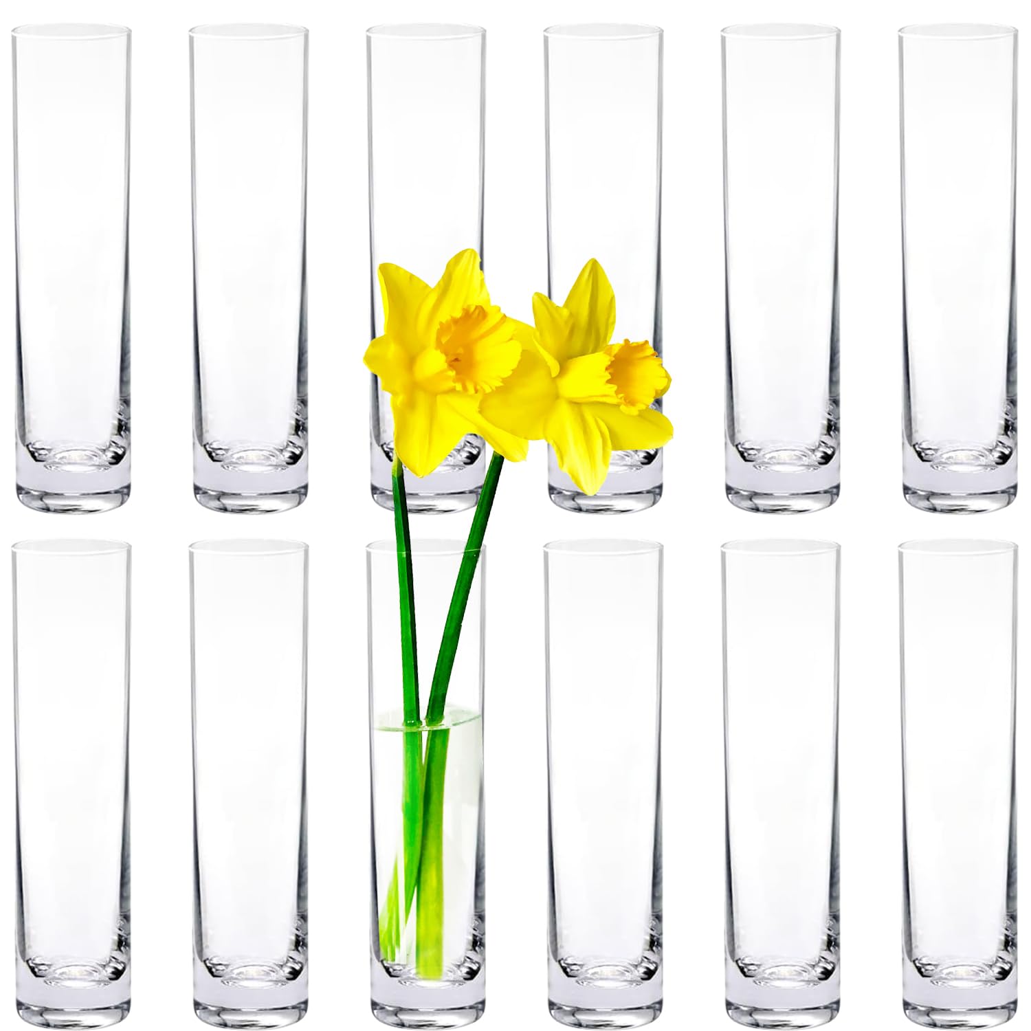 LOSYHU 12 Pack 7 Inch Glass Cylinder Bud Vases for Centerpieces Clear ...