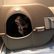 Omega Paw Roll N Clean Self Cleaning Litter Box, Large: Amazon.ca: Pet ...