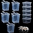 Amazon.com : 10 Pack Spider Terrariums Breeding Box Small Reptile ...