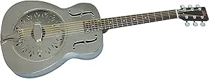 Amazon.com: Rogue Classic Brass Body Resonator Guitar : Musical Instruments