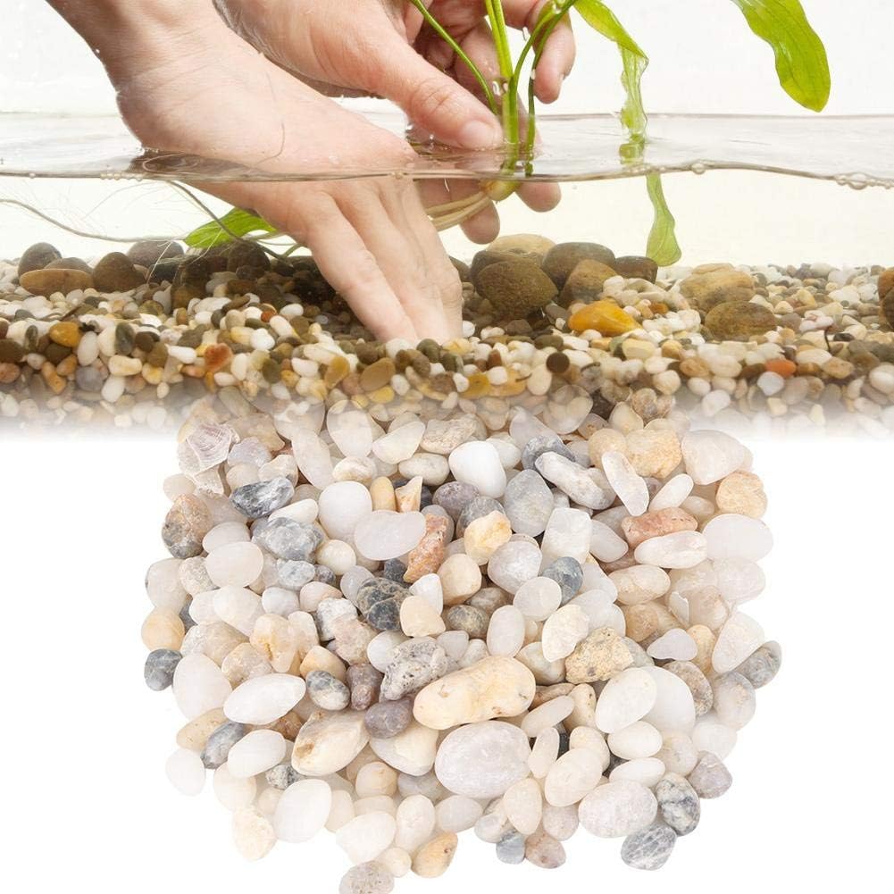 Aquarium Gravel River Rock Sand Small Decorative Gravel River Pebbles ...