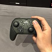 Nintendo Switch Pro Controller: Amazon.de: Games