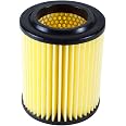 Amazon.com: Denso Air Filter - 143-3175 : Automotive