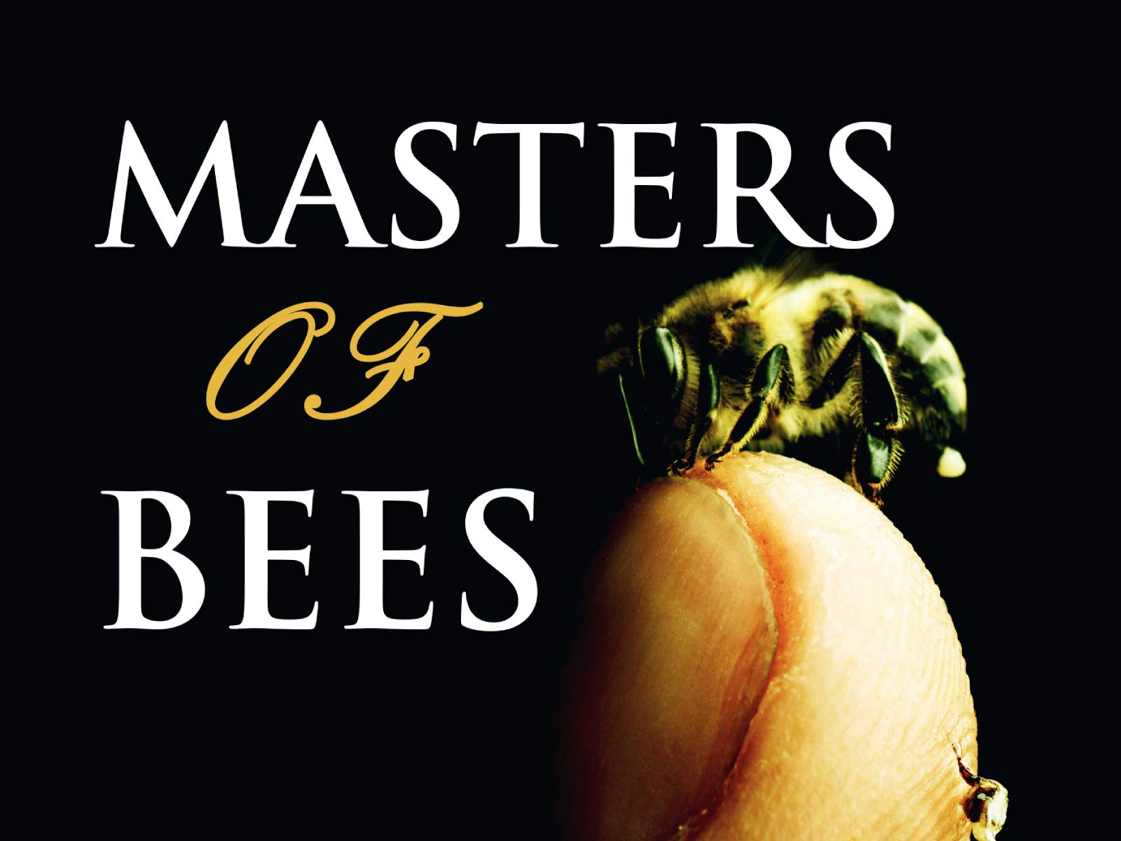 Watch Masters of Bees | Prime Video