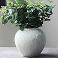 Amazon.com: Denique White Ceramic Vase Flower Vase, Textured Vase for ...
