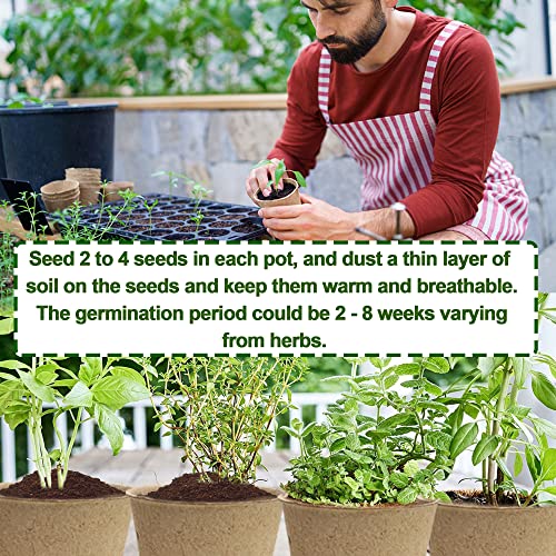 Organic Indoor Herb Garden Kit Organic Indoor Herb Garden Starter Kit