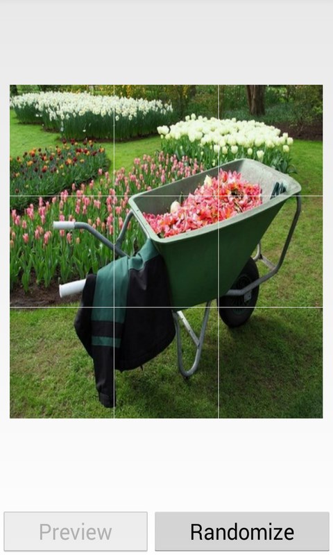 Grapir:Amazon.com:Appstore for Android