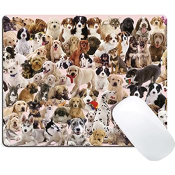 Amazon.com: Dachshund Puppies Mouse Pad, Mousepad (Dogs Mouse Pad ...