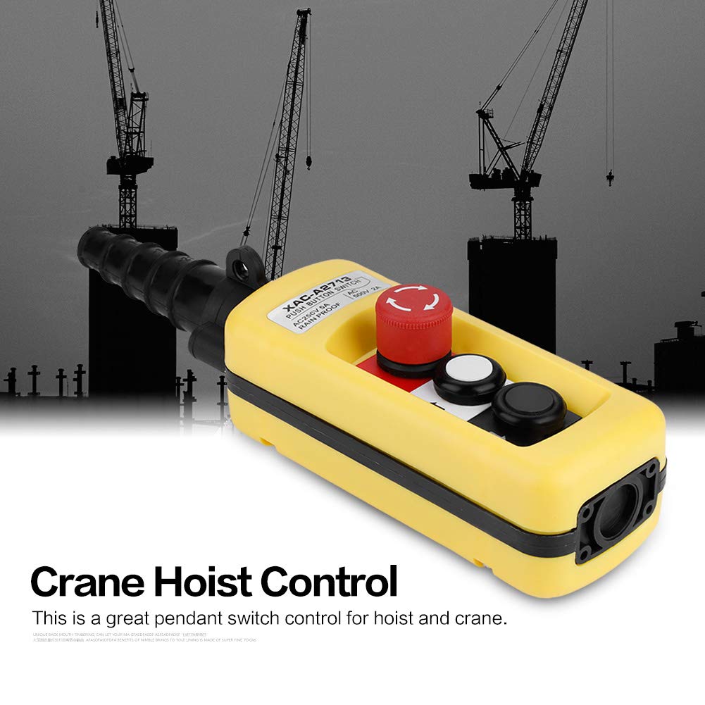 SANON Crane Chain Hoist Push Button Switch Lifting Pendant Controller with Emergency Stop – BigaMart