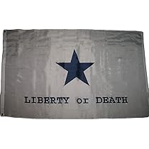 Texas Battle Flags