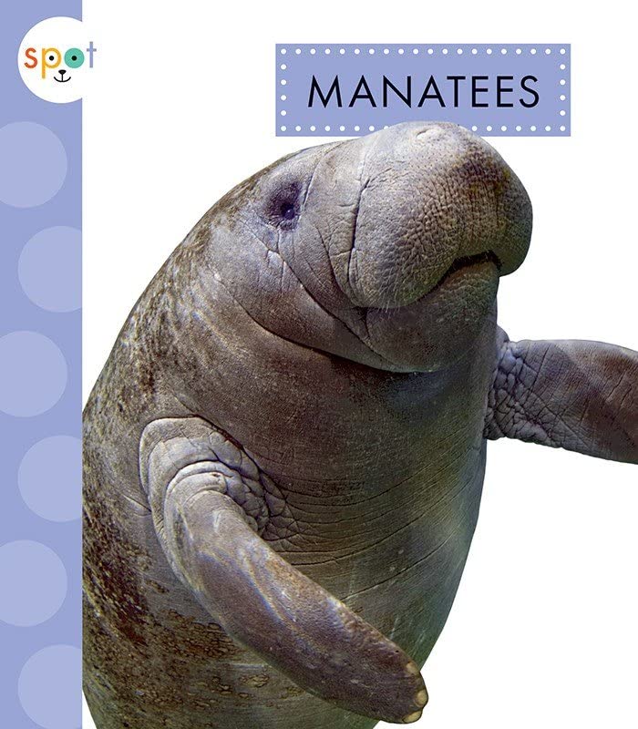 Manatees (Spot Ocean Animals): Schuh, Mari: 9781681526782: Amazon.com ...