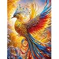 Amazon.com: DIY Bird Diamond Painting Kits for Adults, Phoenix 5D ...