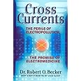 Cross Currents: The Perils of Electropollution, the Promise of ...