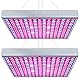 Best UVB LED Grow Light for Weed ( 2023 Reviews & Buying Guide) – 420 ...
