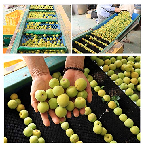 [LENITH] Korean All Purpose Pure Plum Extract Syrup Maesil for Cooking ...